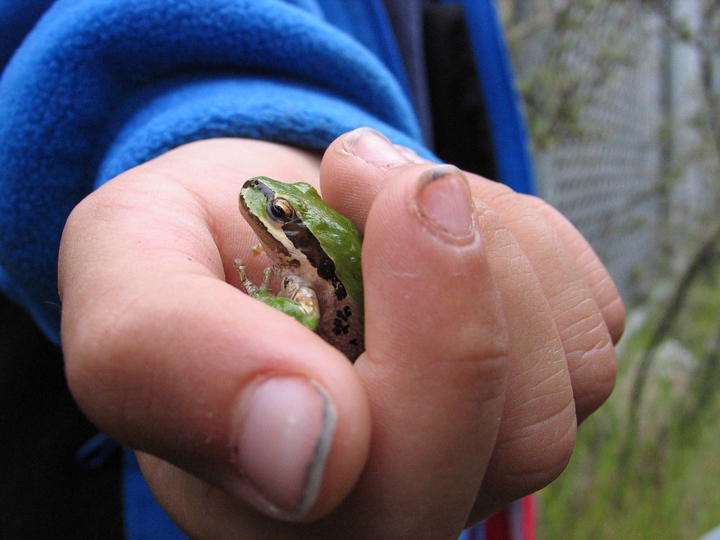 Clark, Kozma, and Kindergarten – What the Tech?